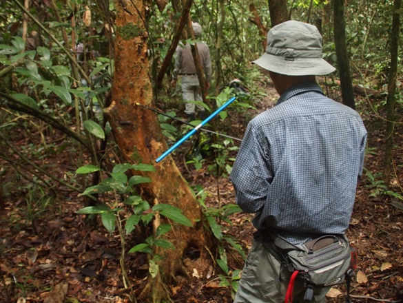 森林生態学 - 岡山大学 大学院環境生命自然科学研究科